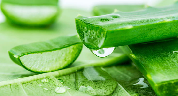 Some Natural Ways To Fight Piles? Natural Treatments that Cures Piles