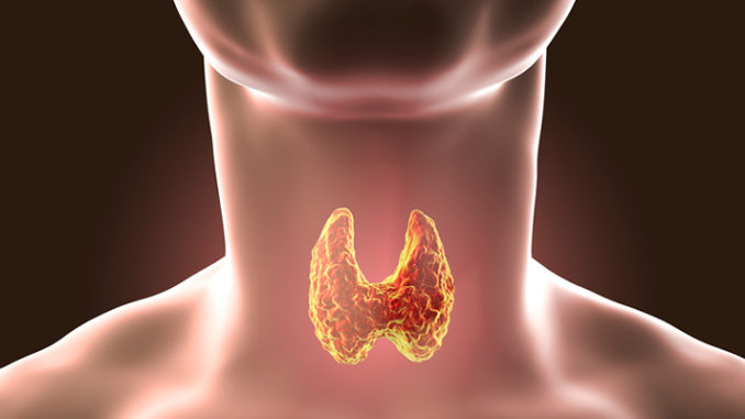 Hyperthyroidism: Diagnosis, Causes & Symptoms : SureShot Ayurveda