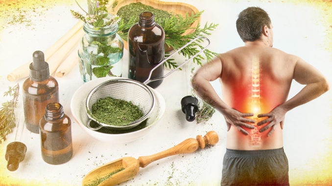 What is Sciatica? Sciatica Treatment with Herbal Medicines
