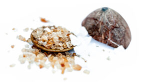 What Are the Health Benefits of Gondh Especially in Winters?